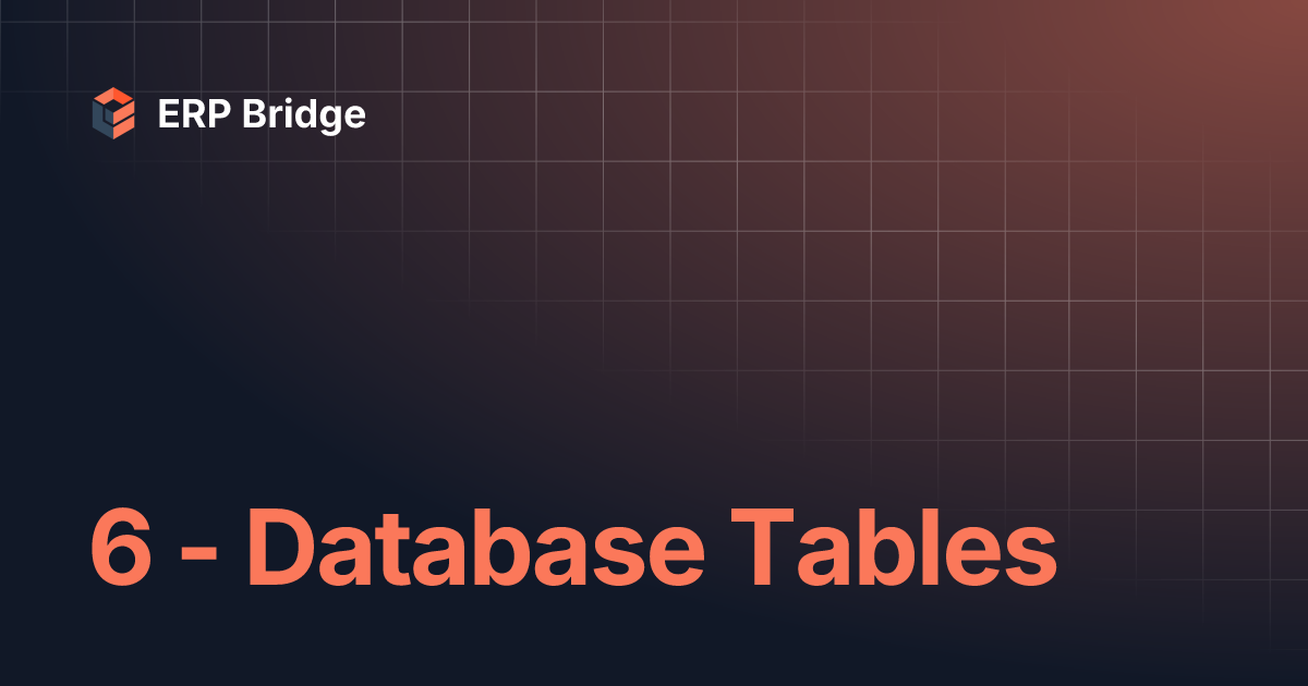 6 - Database Tables | ERP Bridge